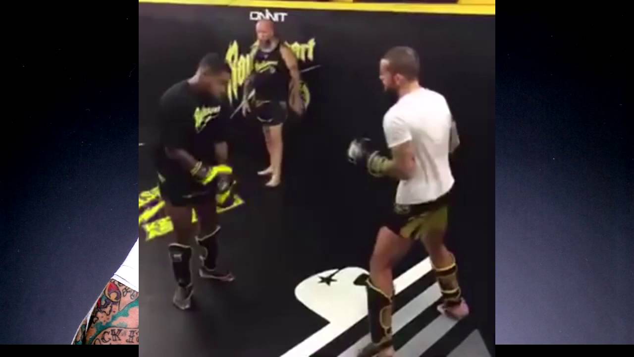 CM Punk training and sparring for UFC 203. - YouTube