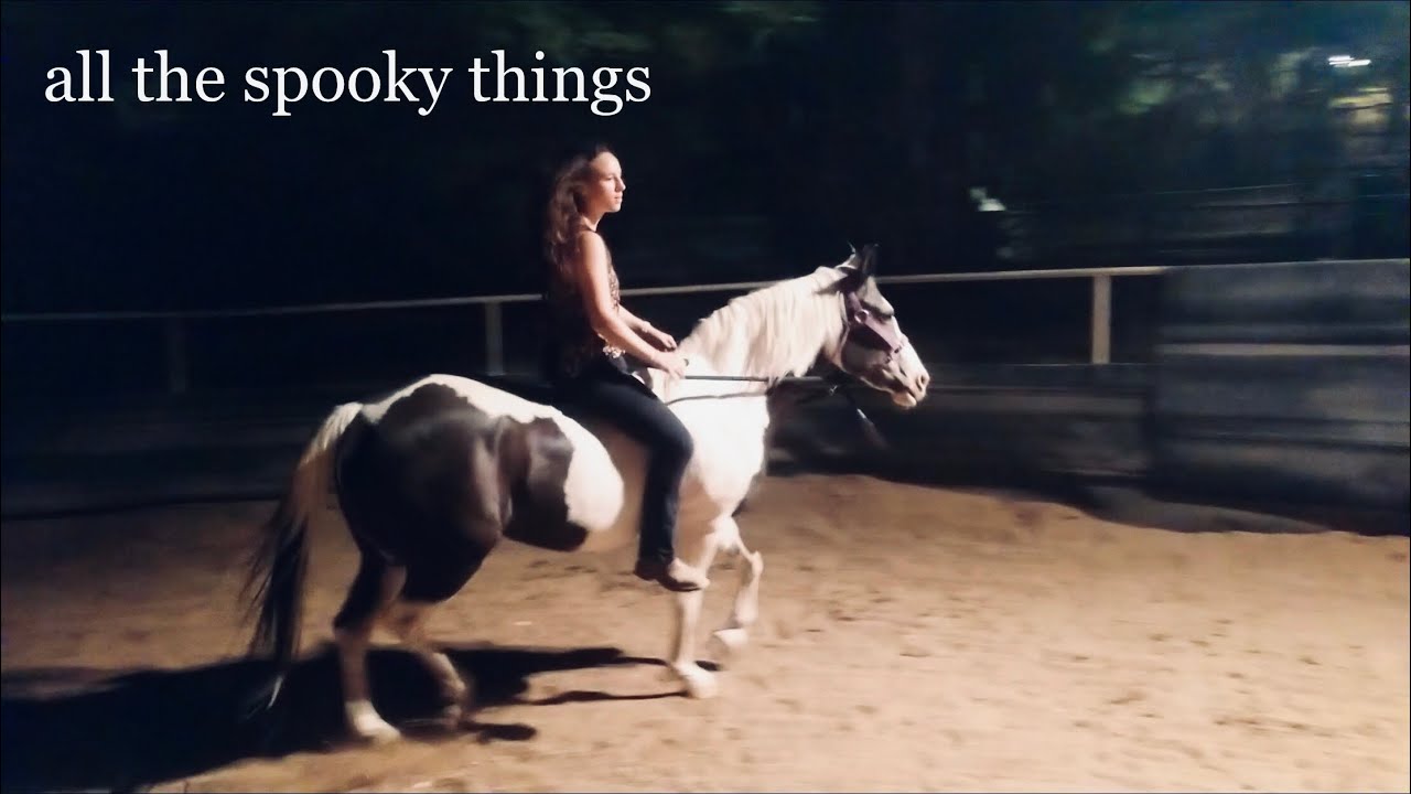 My ranch life at night | Horse Riding vlog | Earth and Medicine ...