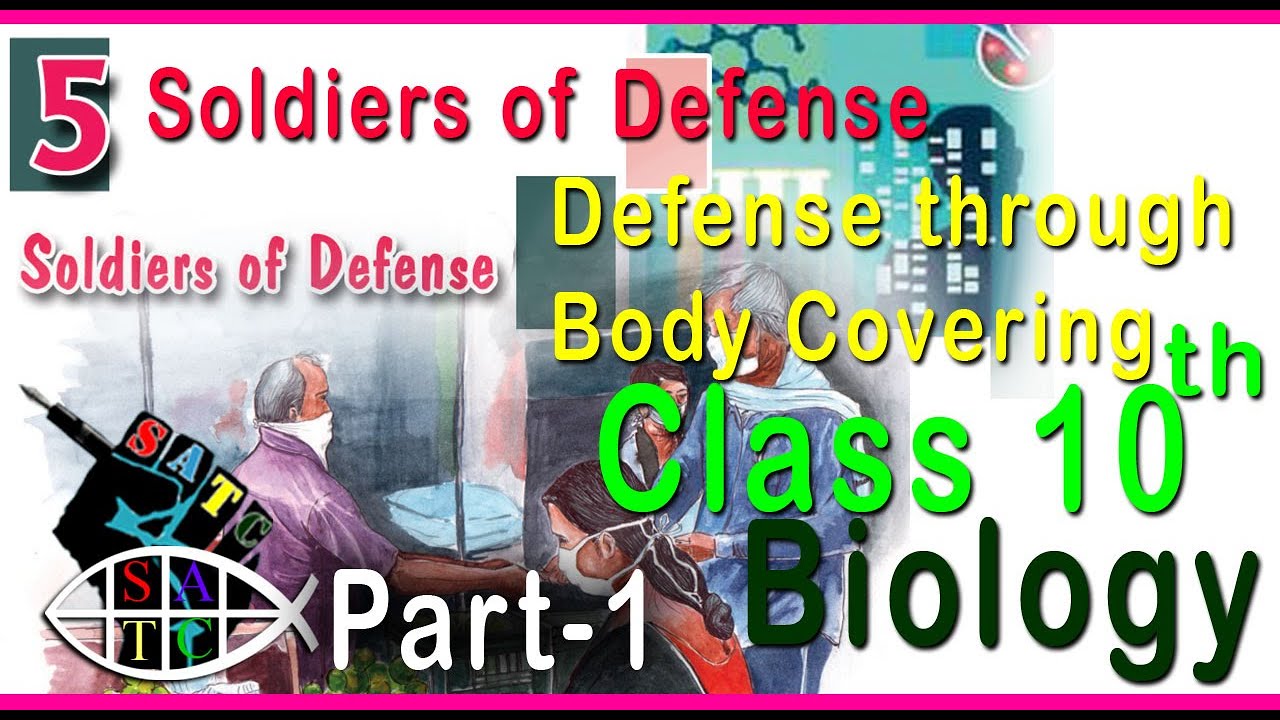 Class 10 | Biology | Chapter 5 |Soldiers of Defense -|Part 1(Defense ...