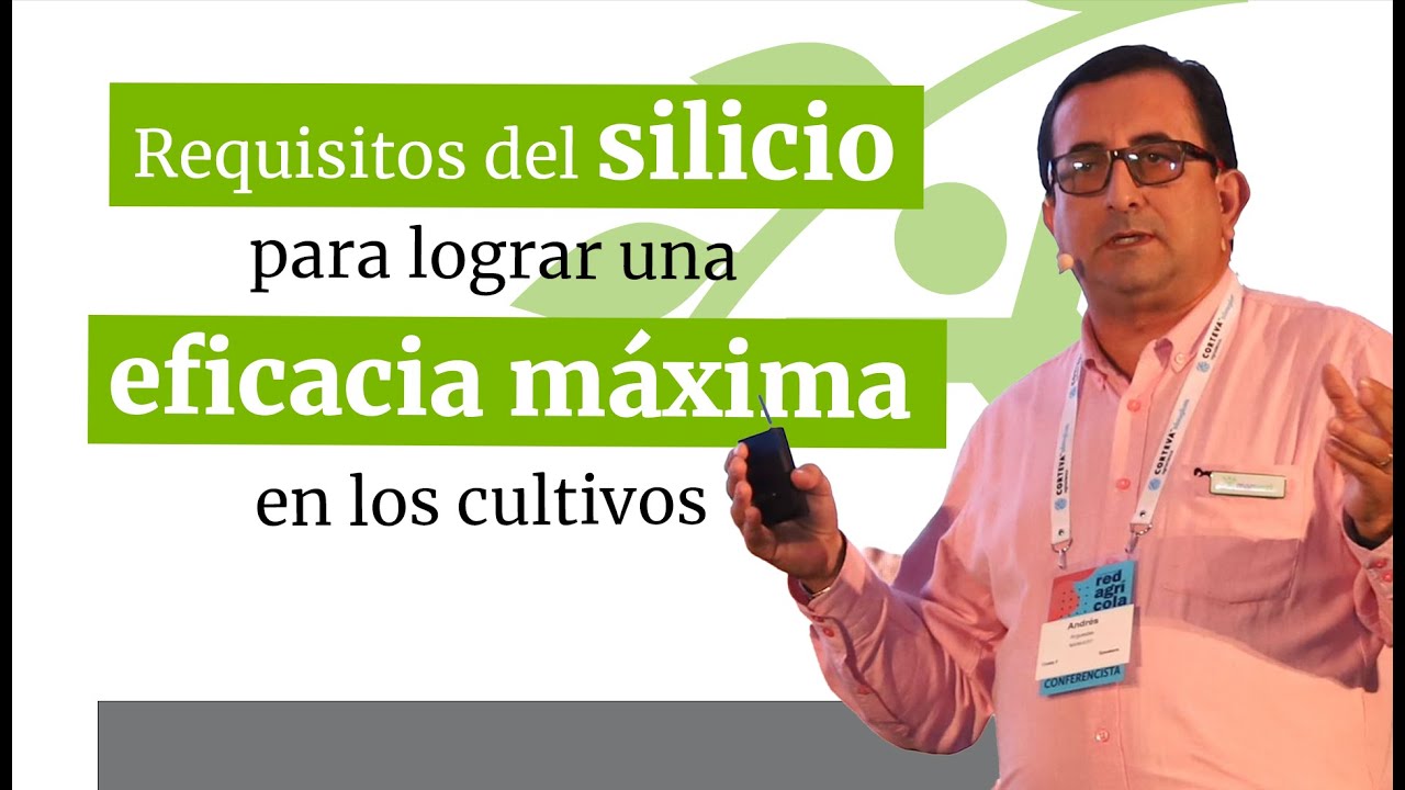 El silicio: su uso en la agricultura y su importancia en los cultivos ...