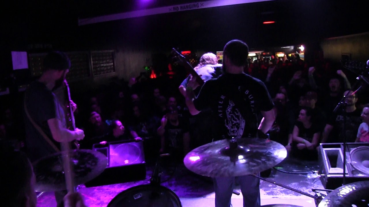 DEAD TO FALL - YouTube