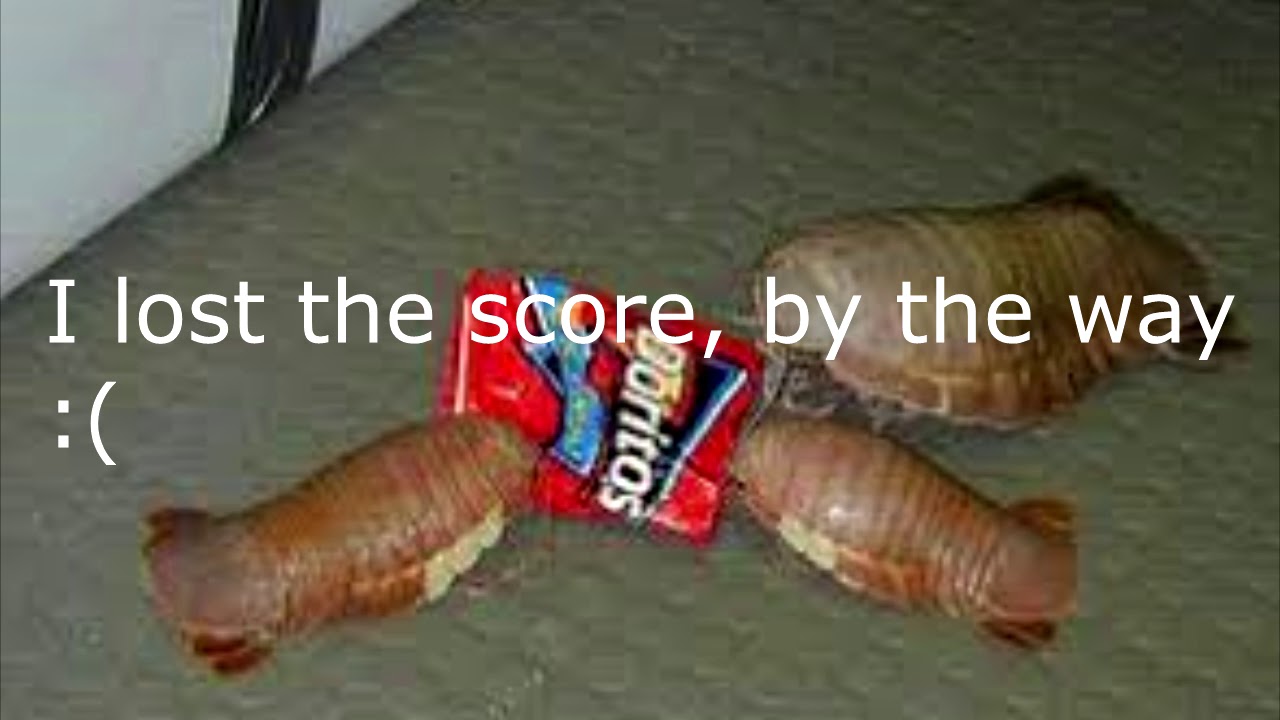 Attack of the Isopods - Shane Gadingal - YouTube