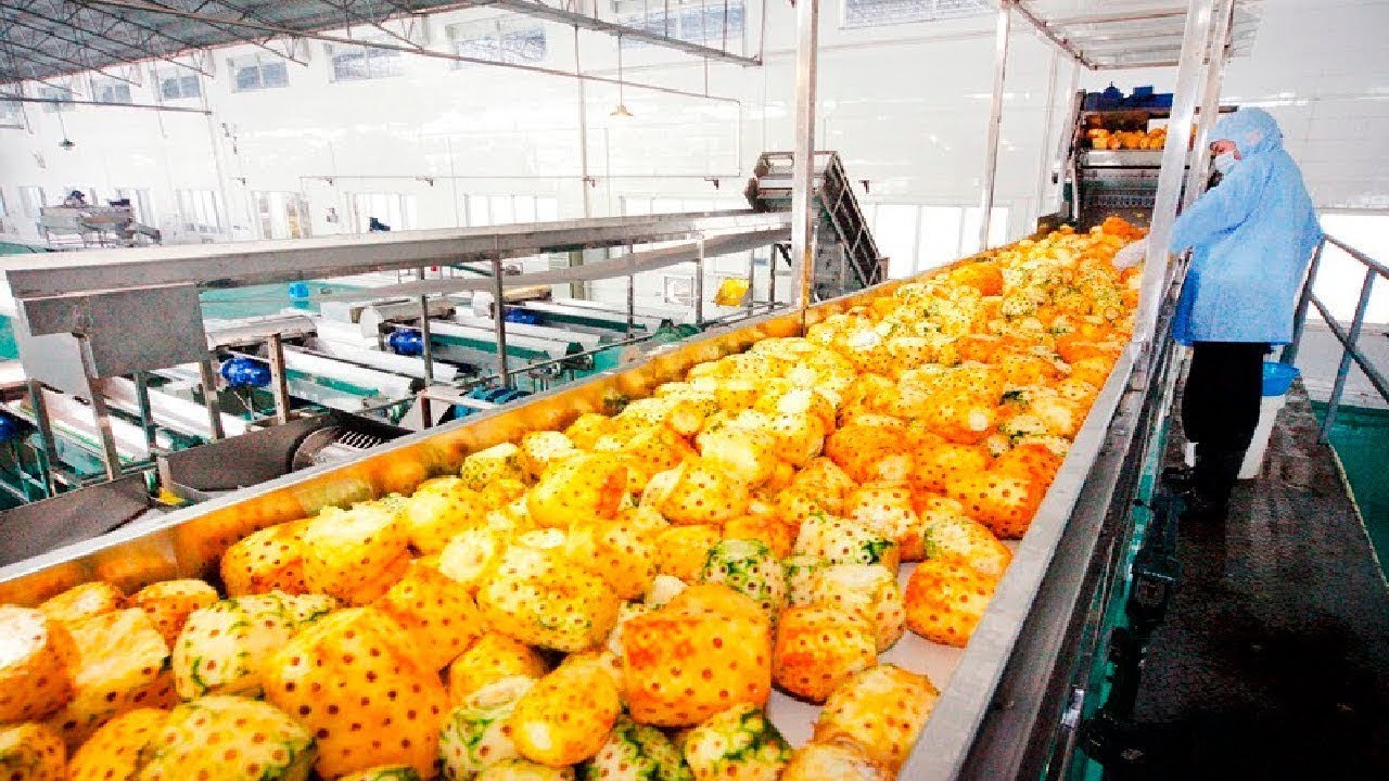 Satisfying Juice Fruit Processing Modern Technology - Lemon Tipus ...