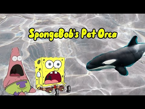 SpongeBob and Friends: (S2 E4) "SpongeBob's Pet Orca" - YouTube