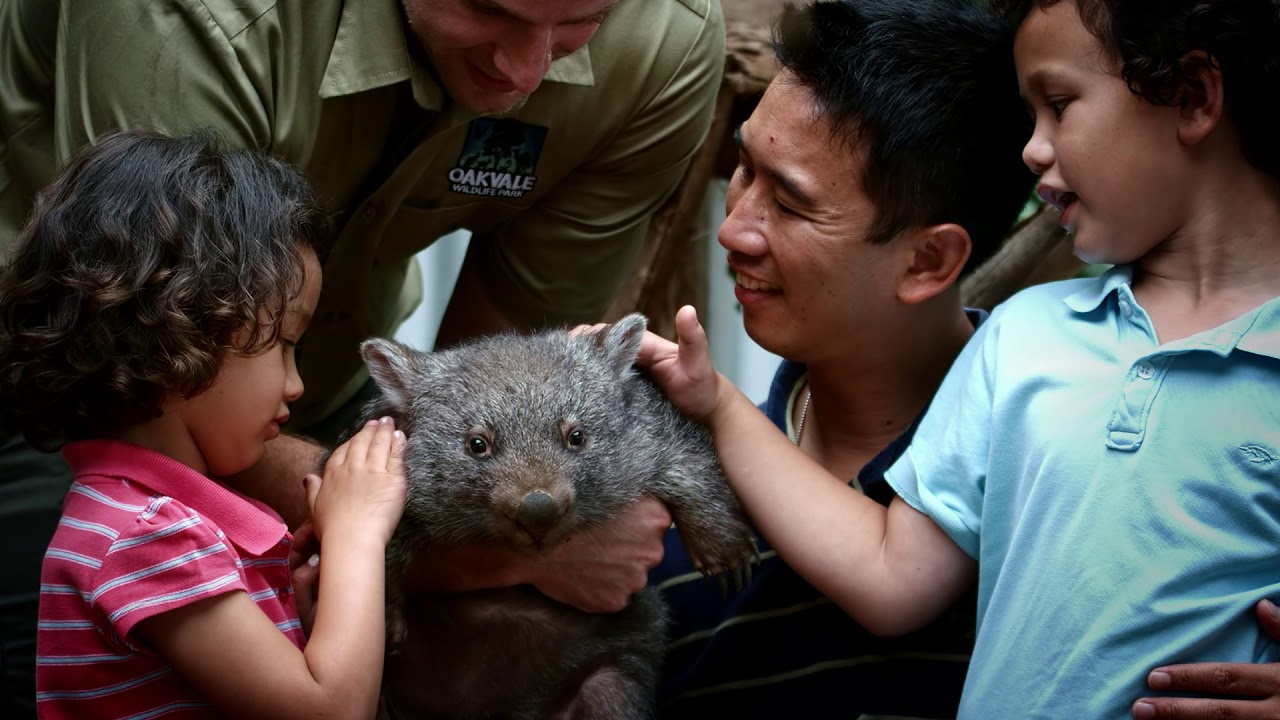 Oakvale Wildlife Park Video - YouTube