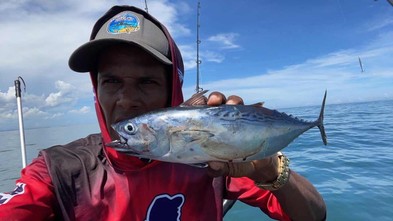 COMO PESCAR BACORAS , BONITOS , RAYADO, CARNADA VIVA PARA MARLIN - YouTube