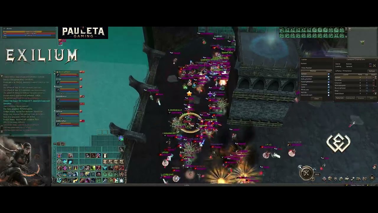Lineage 2 Exilium - Mass PvP - 27/02/2025 - Pauleta Gaming POV (Mage ...