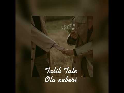 Talib Tale-Ola xeberi speed up
