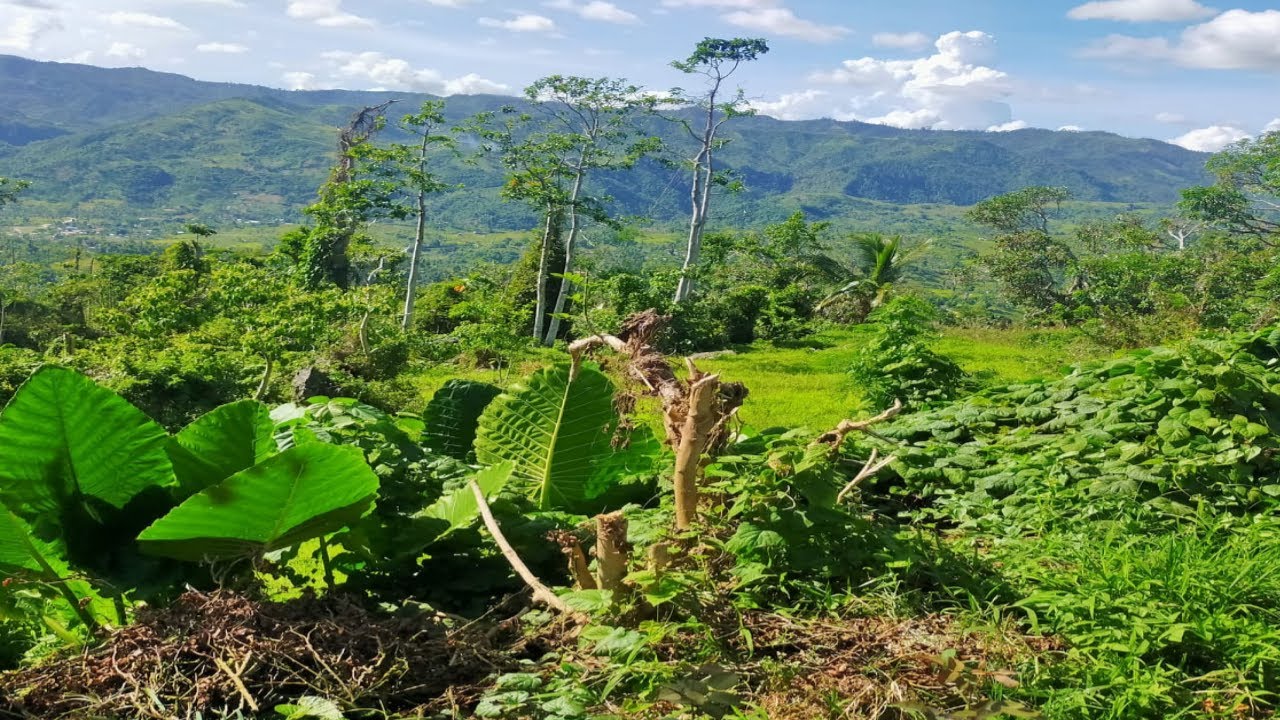 Busay Cebu City Lot with Overlooking View - YouTube