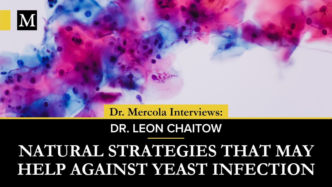 Natural Strategies That May Help Against Yeast Infection – Interview With Dr. Leon Chaitow - YouTube