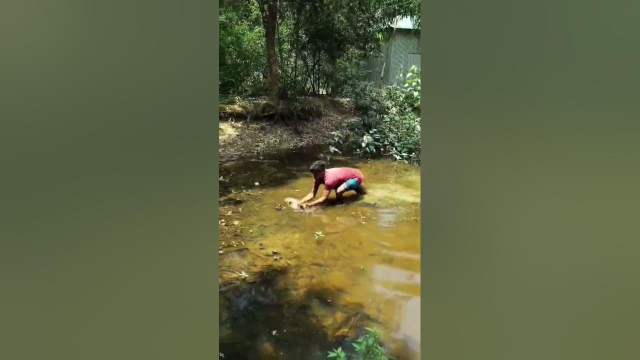 মা'ছ'টা ভা'গ্য ছি'ল - YouTube