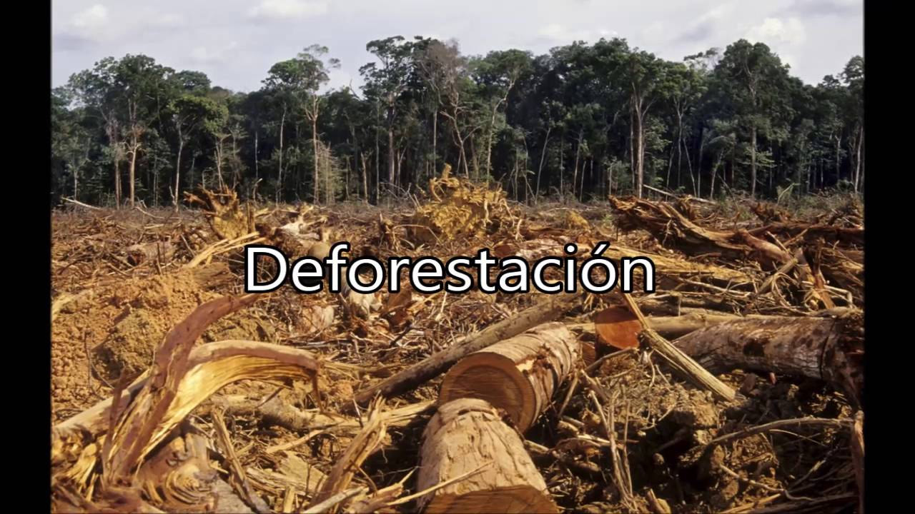 Problematica Ambiental en Mexico y el Mundo - YouTube