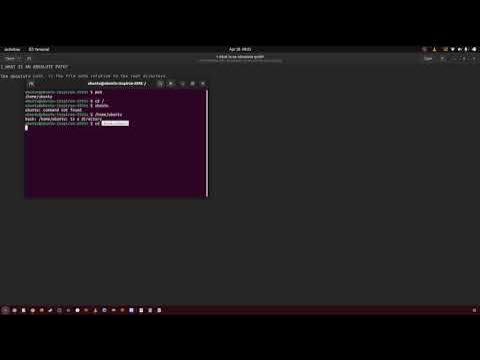 51 what is the absolute path in the bash shell? - YouTube