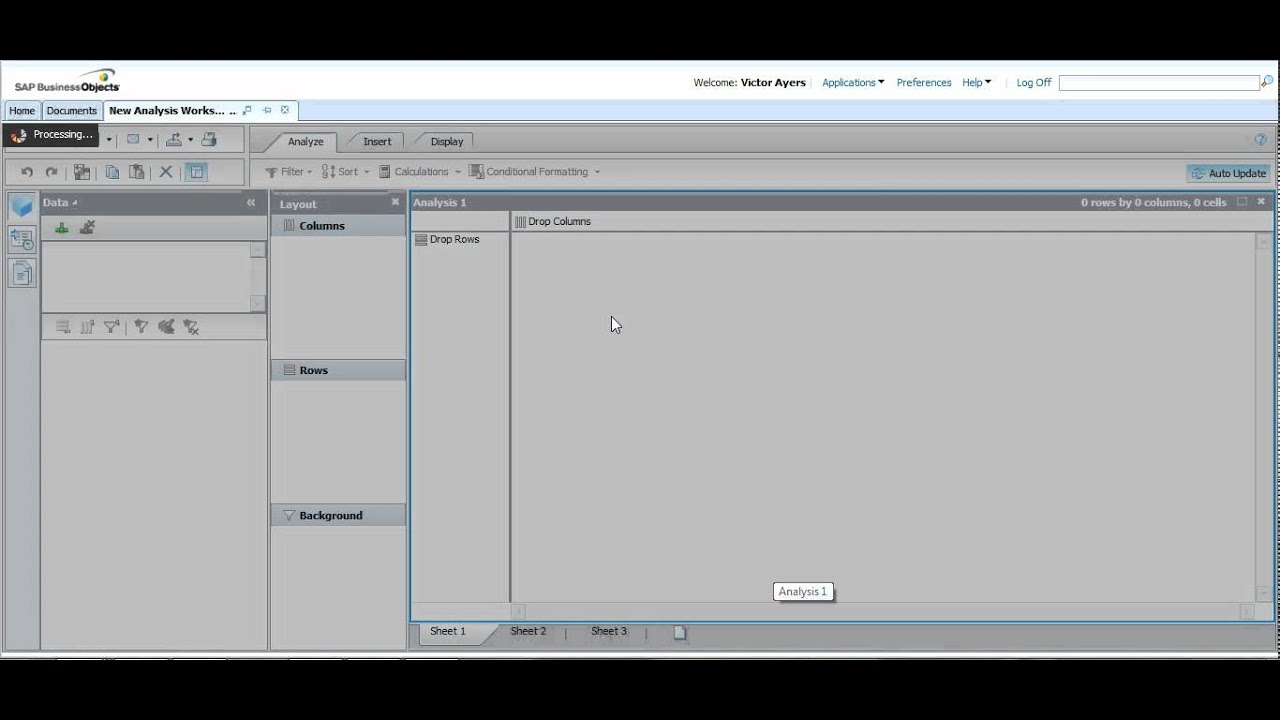 BusinessObjects BI Launch Pad 4.0 and Advanced Analysis for OLAP - YouTube