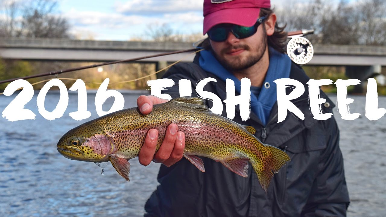 2016 FISH REEL - Wild Fly Productions - YouTube