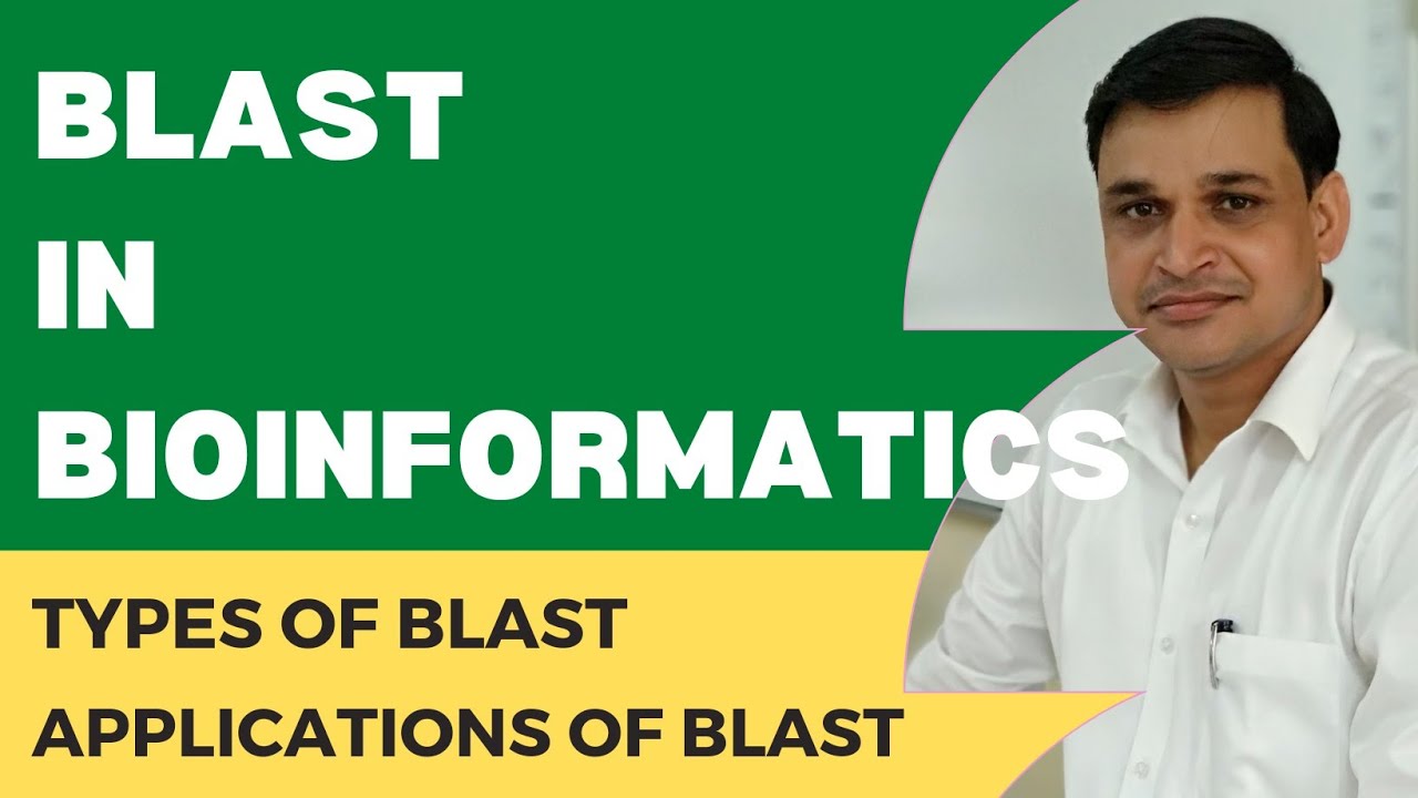 What Is BLAST In Bioinformatics Types And Applications Of BLAST YouTube