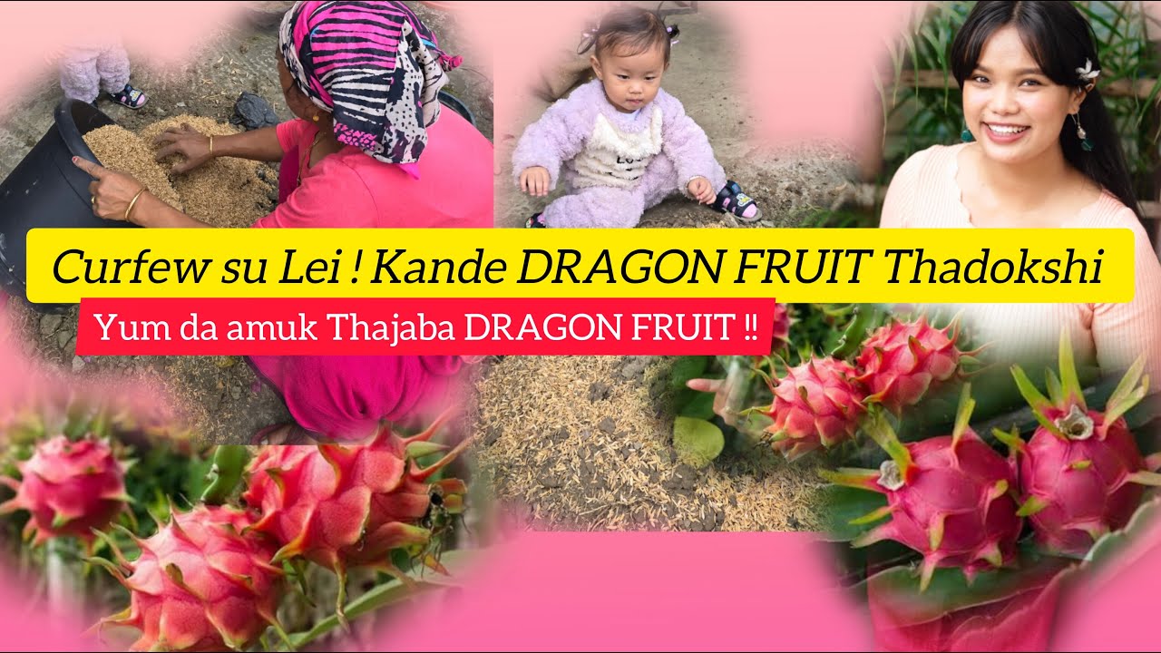 CURFEW SU LEI ADUNA DRAGON FRUIT KHARA THADOKSHI | ZUNI THWDAM VLOG ...