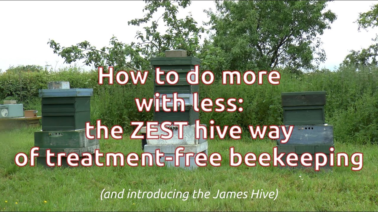 Doing More With Less: Treatment-Free Beekeeping With The ZEST Hive (and ...