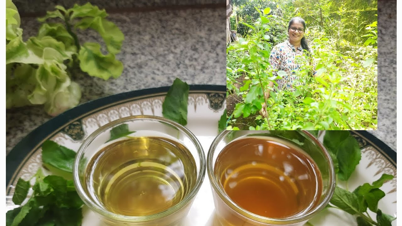 Tulsi Tea Recipe | Holy Basil | Home Remedy | Reduce Stress | ತುಳಸಿ ಟೀ ...