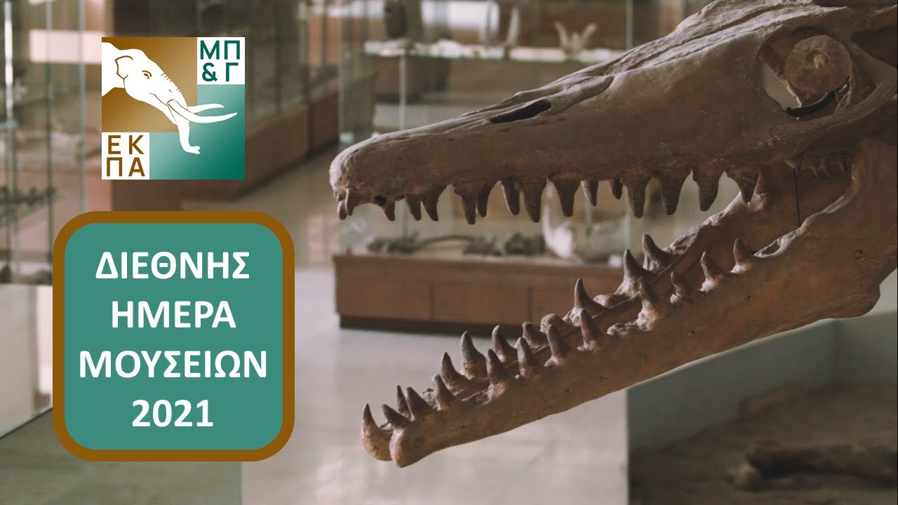 Ανακαλύπτοντας το παρελθόν, με το βλέμμα στο μέλλον - Μουσείο ...