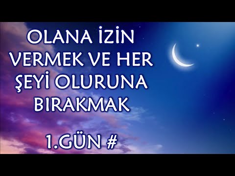 OLANA İZİN VERMEK ve HER ŞEYİ OLURUNA BIRAKMAK / MOMENTUM PROGRAMI 1.Gün