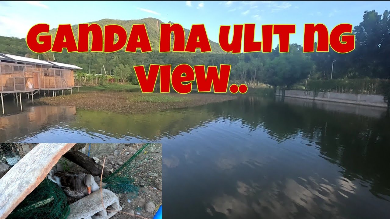 4th at 5th day ng patubig, parang lake nanaman ang pond | update sa ...