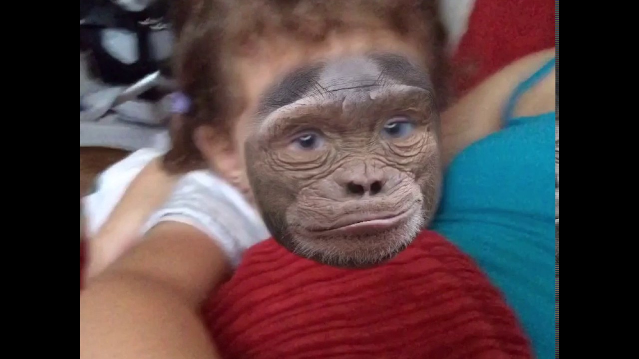 Monkey monkeyyyy - YouTube