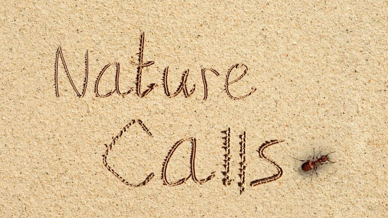 Alpha Ants™ - Short Film - "Nature Calls" - YouTube