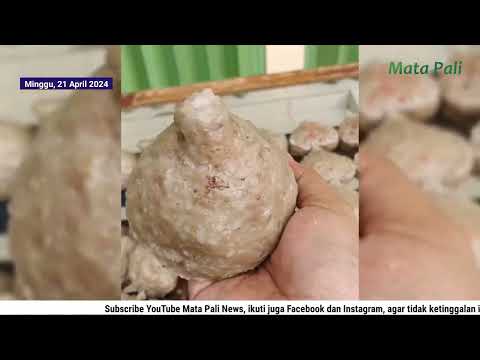 Viral Bakso Unik, Bentuknya Nyleneh Bikin Geleng-geleng | Mata Pali