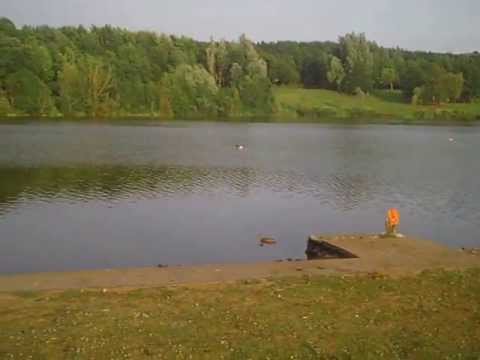 Fendrod Lake - YouTube