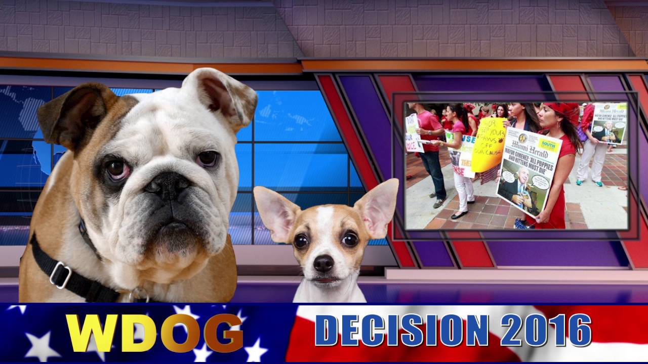 WDOG News UPDATE - YouTube