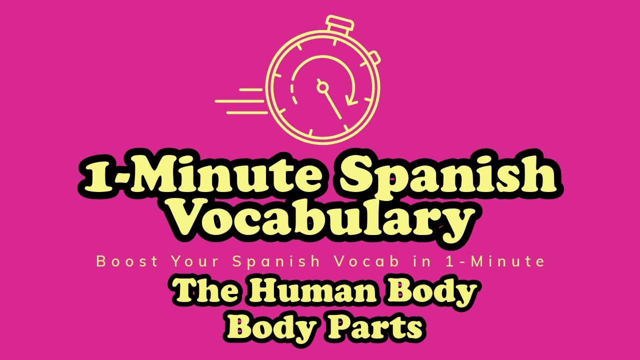 Body Parts in Spanish | Las Partes del Cuerpo en Español - YouTube