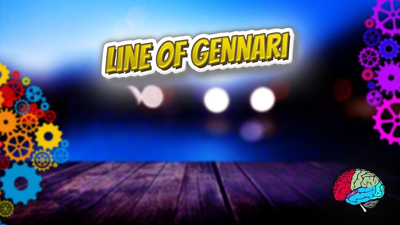 Line of Gennari - Know It ALL 🔊 - YouTube