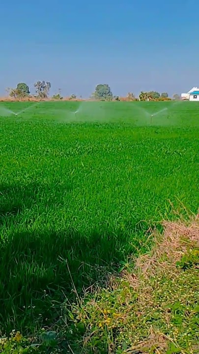 Khet me pani sichae chal rhi h - YouTube