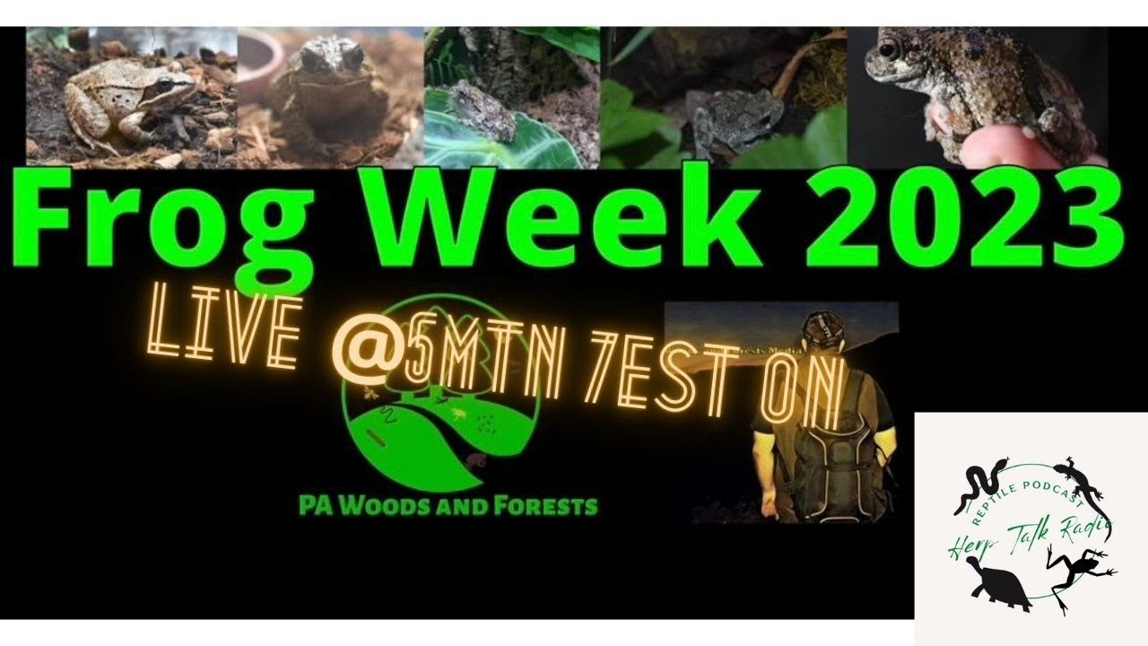 Frog Week - YouTube