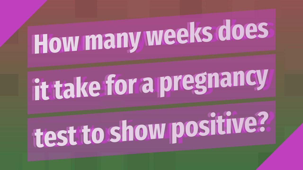 How Many Weeks Does It Take For A Pregnancy Test To Show Positive How Many Weeks Does It Take For A Pregnancy Test To Show Positive