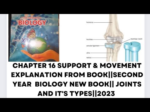 XII BIOLOGY CH 16 SUPPORT & MOVEMENT TOPIC JOINT||JOINT EXPLANATION ...