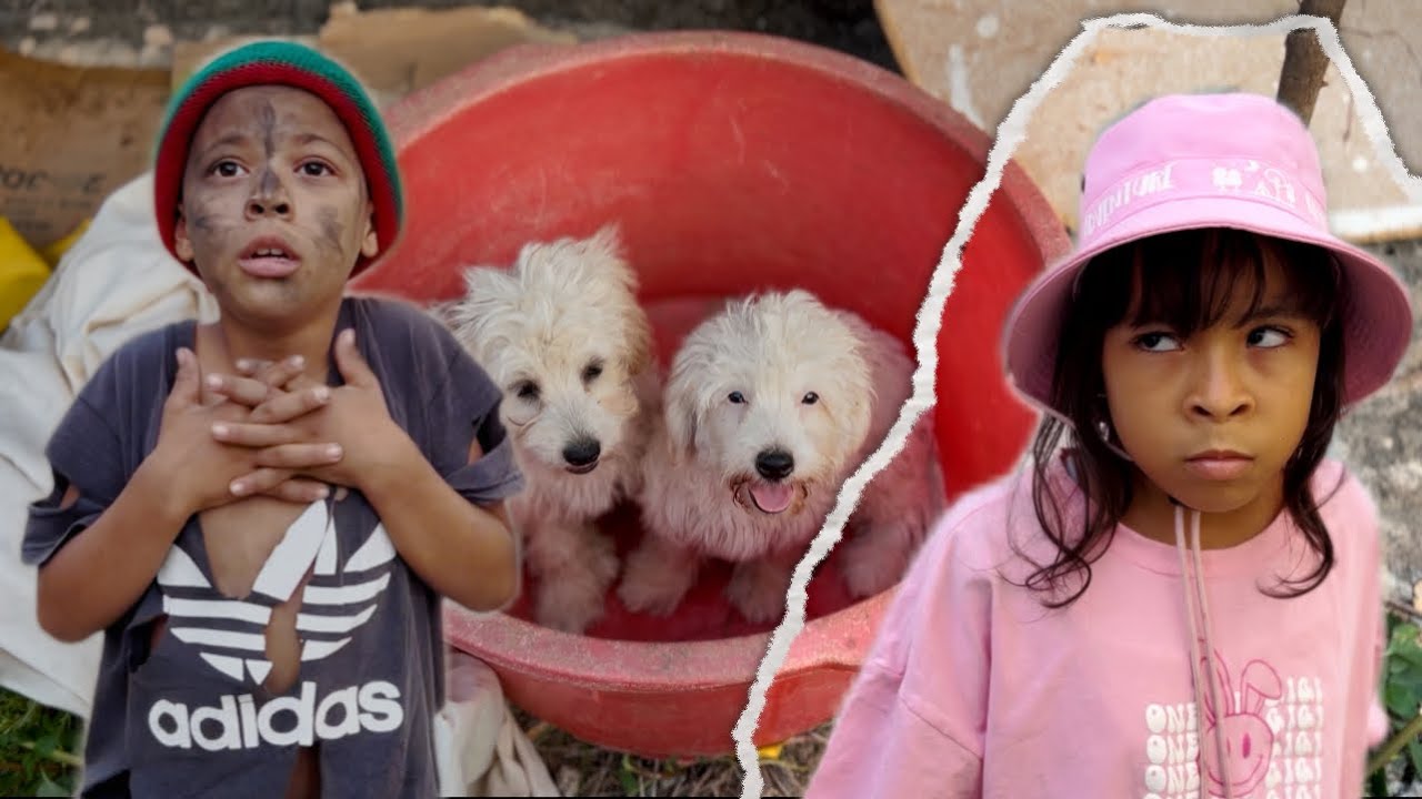El mendigo le da comida a los PERROS de la calle 💔 - YouTube