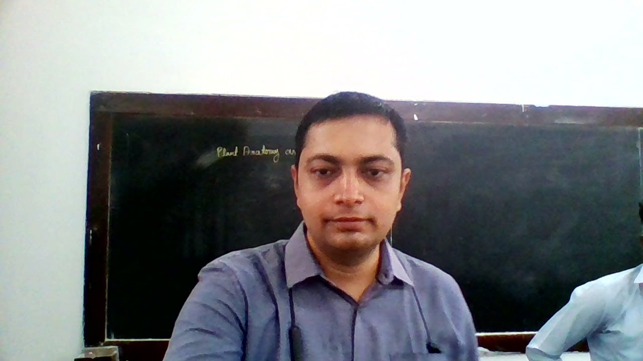 Plant Anatomy And Embryology YouTube Plant Anatomy And Embryology YouTube