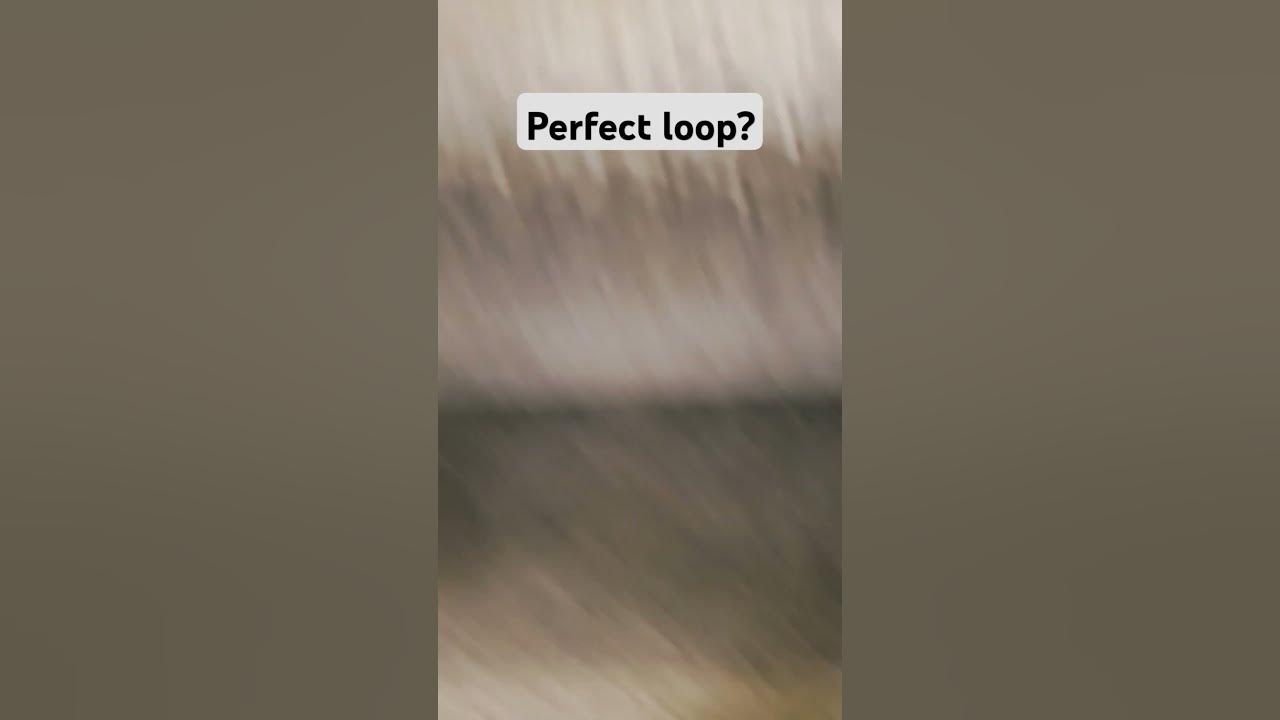 Perfect loop? #loop #endlessloop #satisfyingloop #perfectloop - YouTube