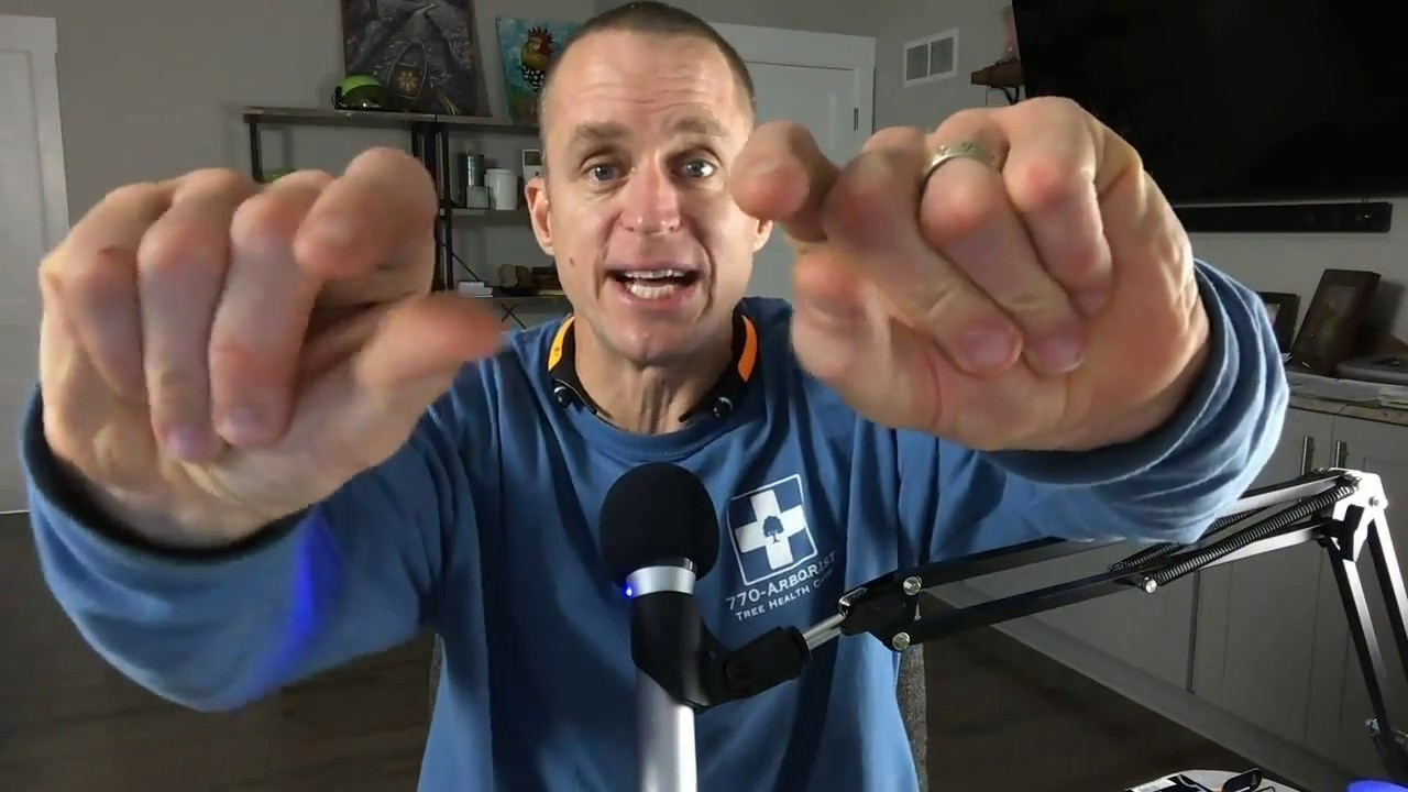 Is my Tree Dangerous Tree Risk Assessment Qualification ISA TRAQ ...