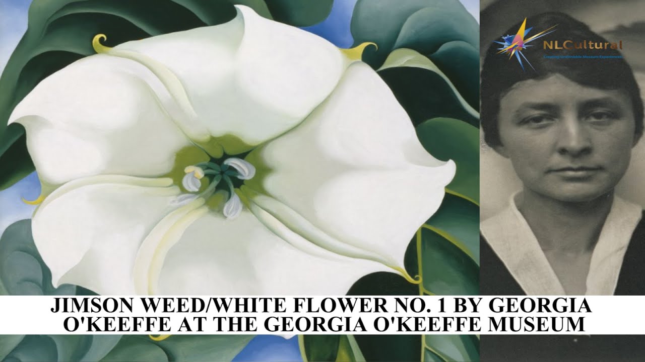 Jimson Weed White Flower No 1 by Georgia O'Keeffe at The Georgia O ...
