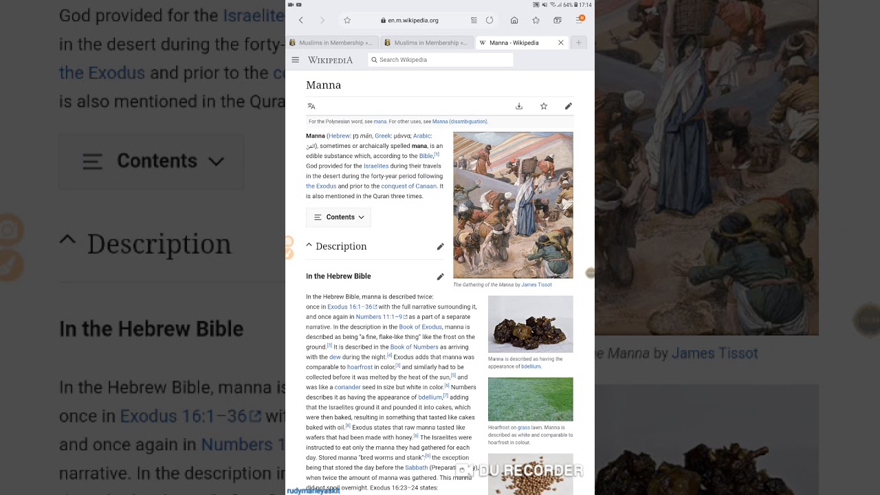 Ark of covenant a Manna Machine? - YouTube