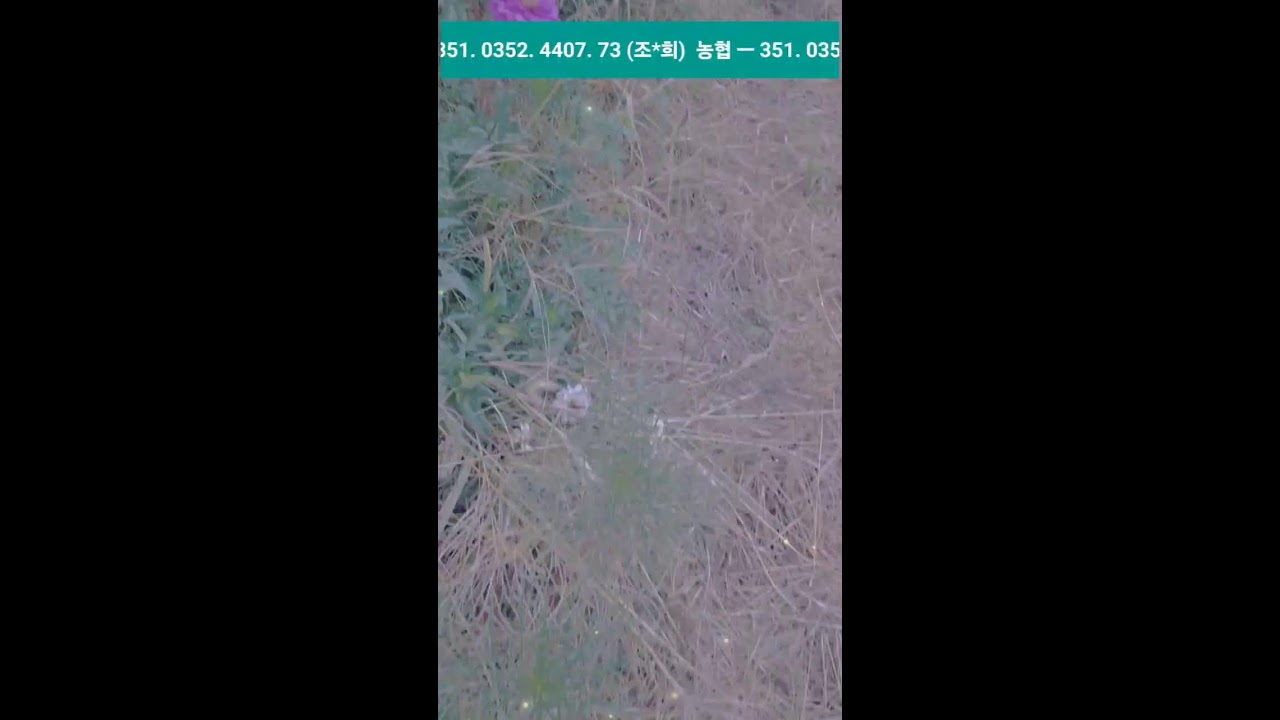 #실시간 #생방송 #음악방송 #소통방송 - YouTube