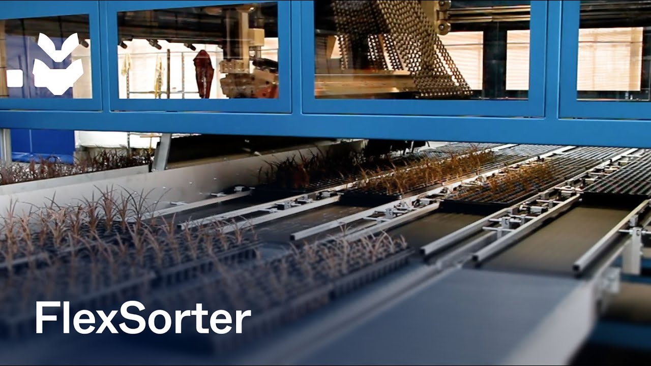 TTA recently installed a FlexSorter at Denis-Plants, Belgium - YouTube