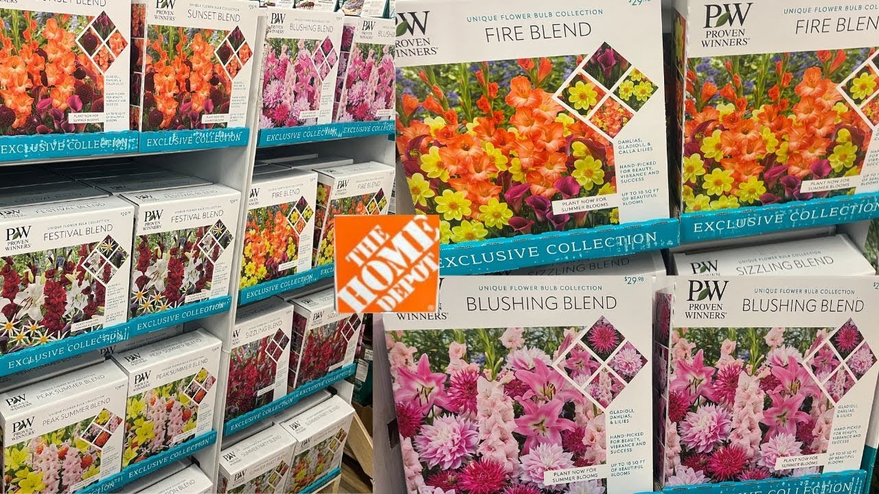 NEW Shop with me at Home Depot for Bulbs to Plant in Spring - YouTube