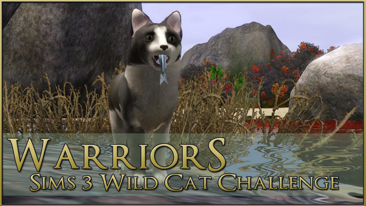 Training Among the Tidepools 🌿 Warrior Cats Sims 3 Legacy - Episode #30 ...