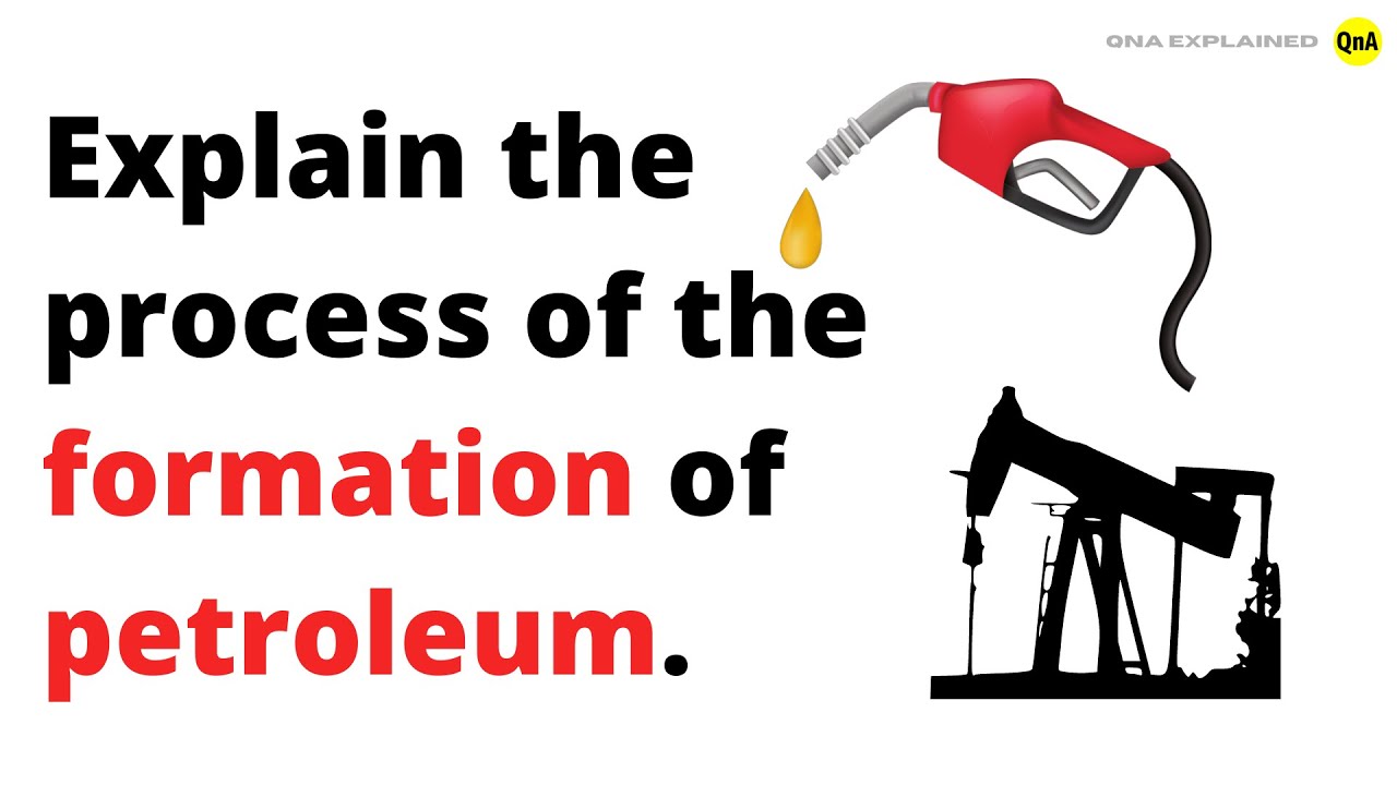 Explain the process of the formation of petroleum? - QnA Explained ...