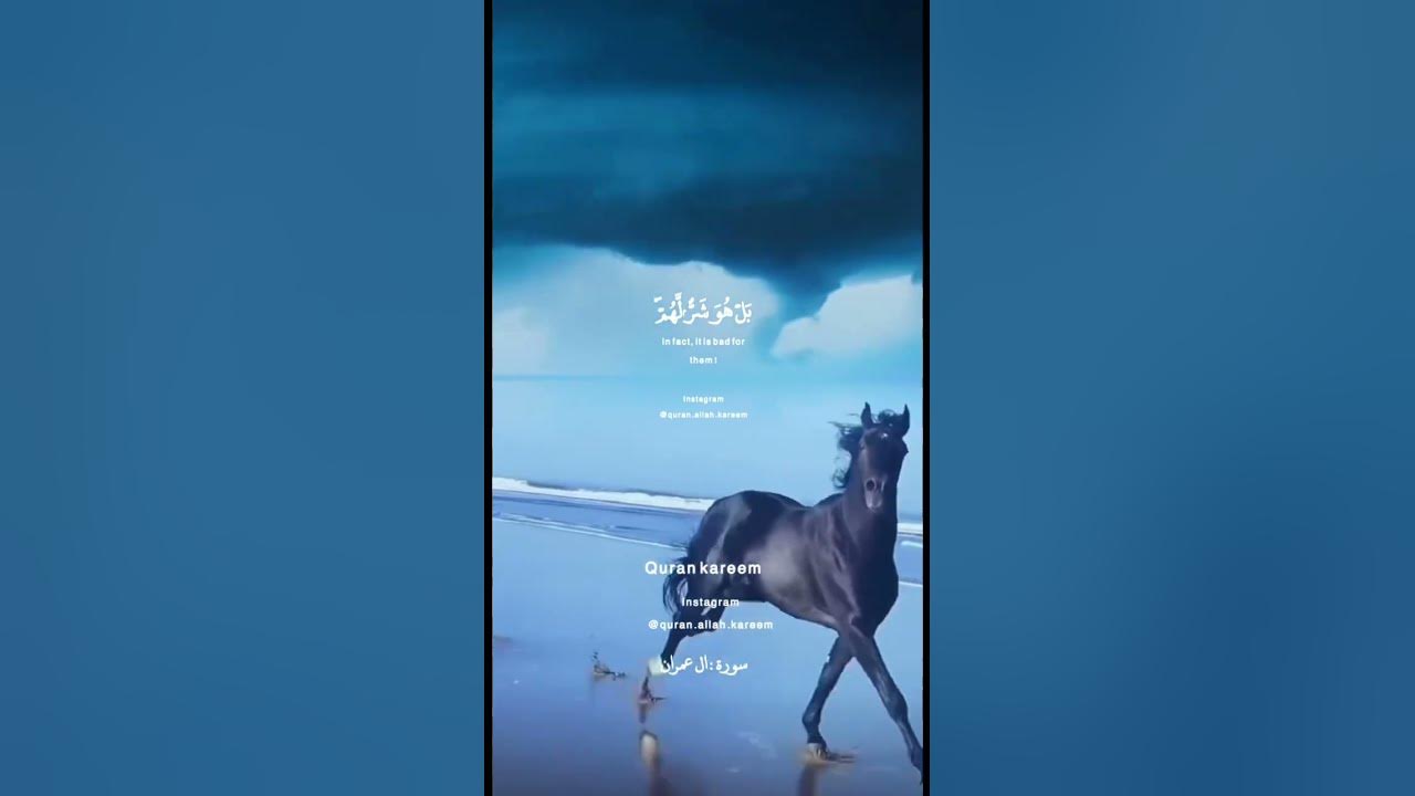 ولا يحسبن الذين يبخلون بما ءاتاهم الله من فضله هو خيرا لهم احمد النفيس