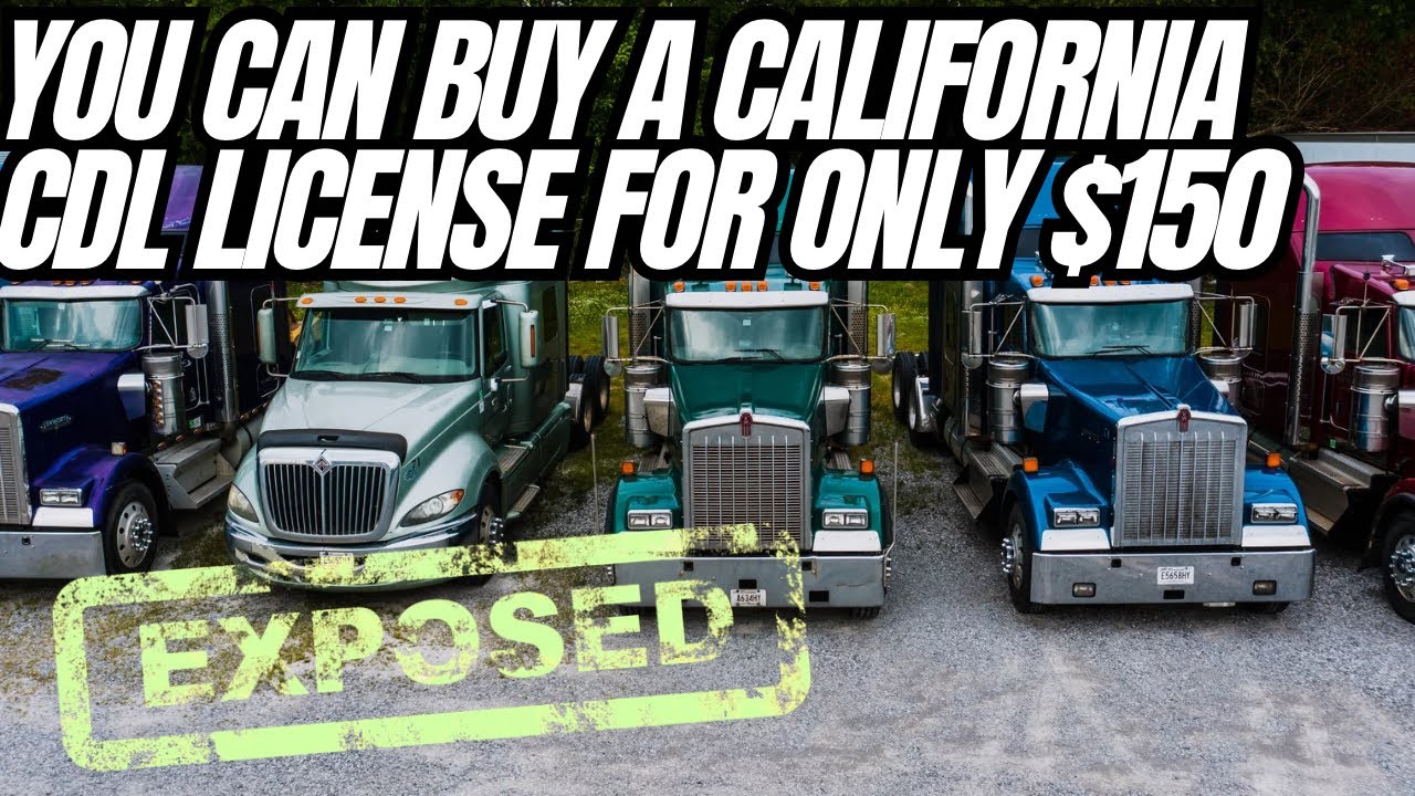 Illegal CDL Drivers In California Paid $150 For A license! This Is ...